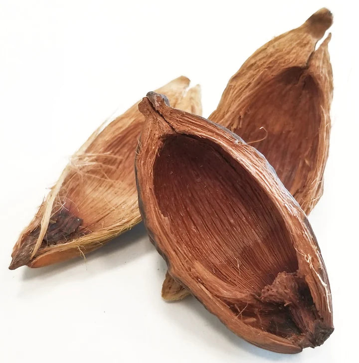 Da Fu Pi | Arecae Pericarpium | 大腹皮 — shenclinic.com