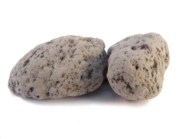 Fu Hai Shi | Pumex or Costaziae Os | 海浮石 — shenclinic.com