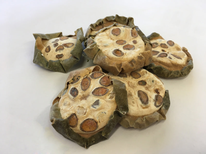 Gua Lou | Trichosanthis Fructus | 栝楼 — shenclinic.com
