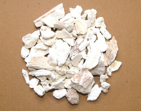 Dragon Bone - LONG GU (Fossilized bones) / SELECT OPTION: Granules or W ...