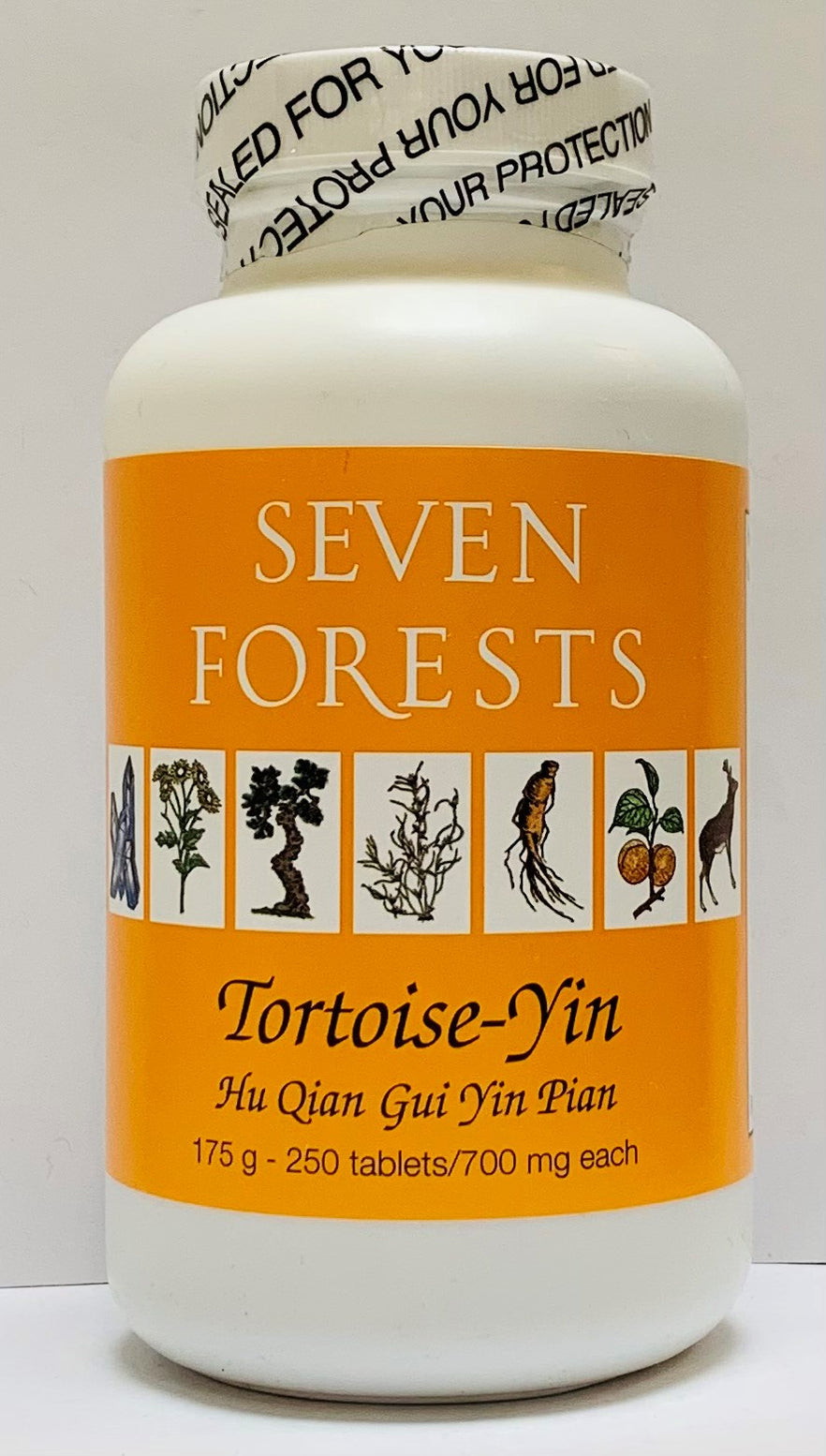 Tortoise-Yin | Seven Forests — shenclinic.com